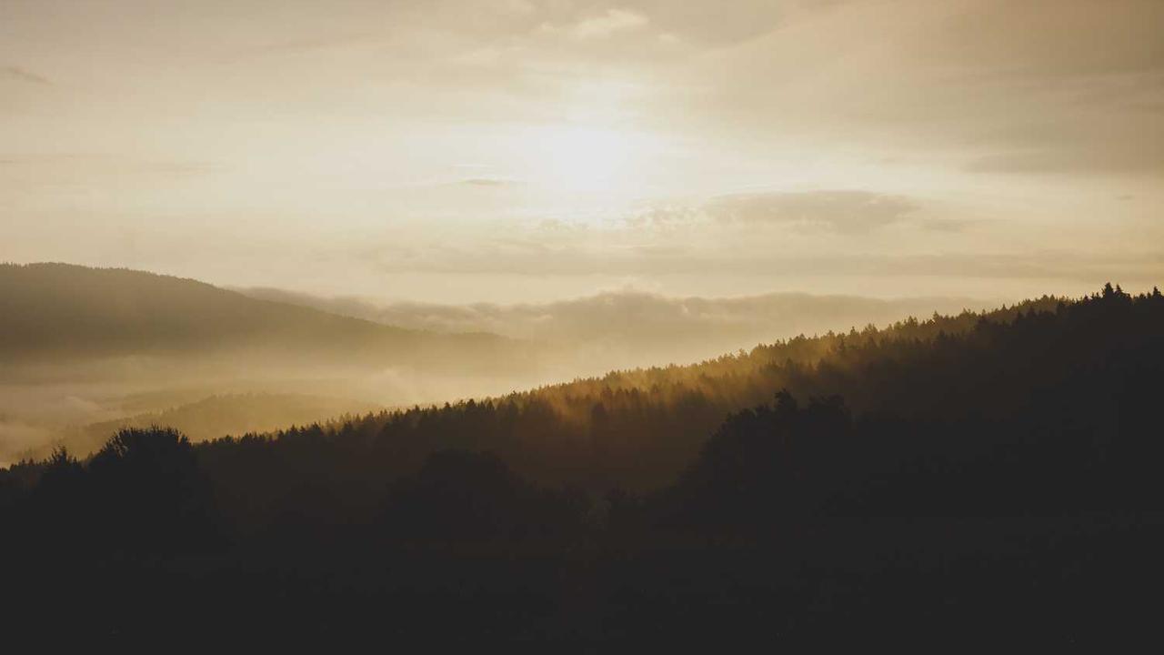 Mastering Scalable API Creation with Django Rest Framework: The ... Mastering Scalable API Creation with Django Rest Framework: The ...
